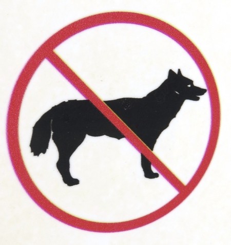 4 Reasons Why Owning Exotic Pets can be Dangerous! (Health Included!)